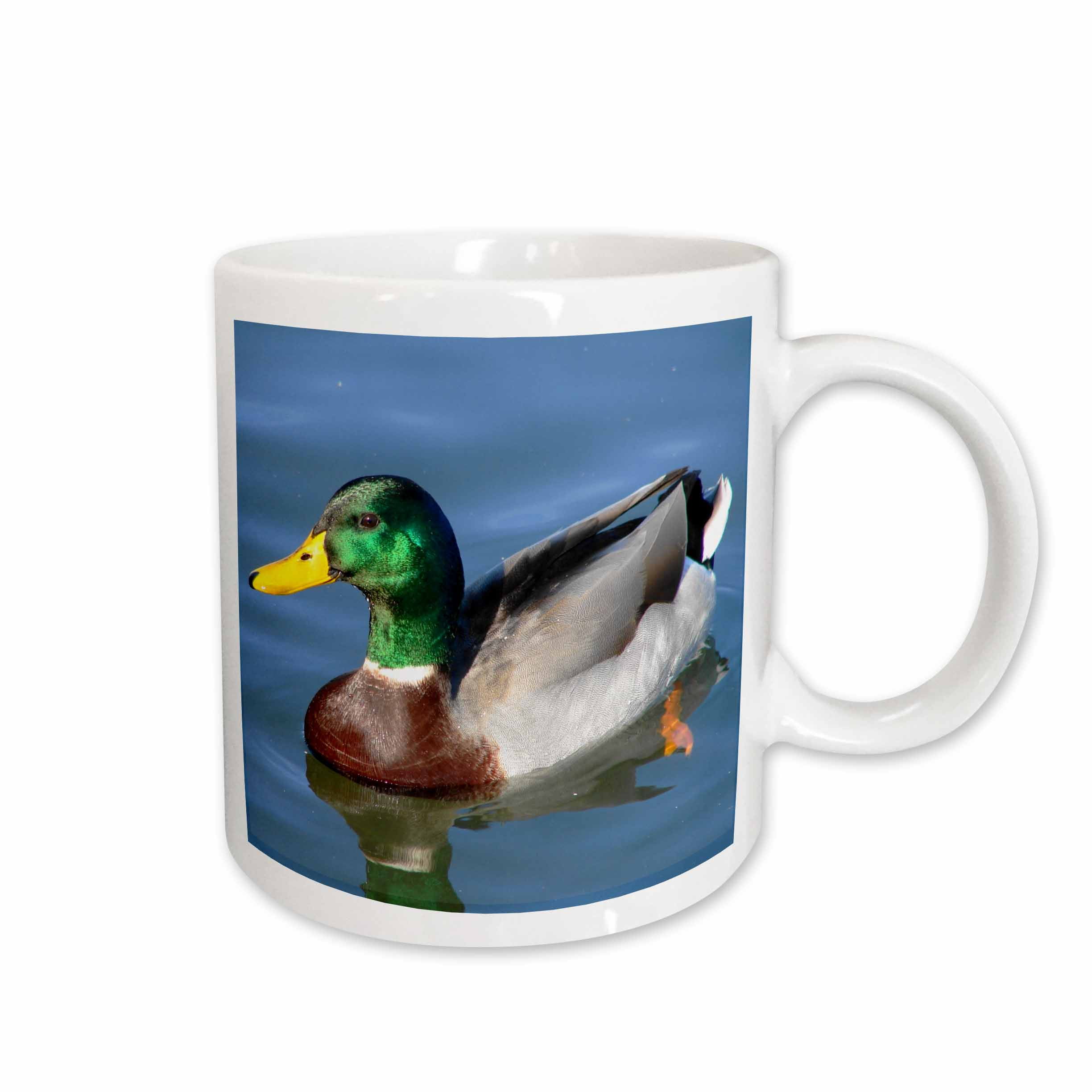 Mallard Drake Photographed By Angelandspot, 11oz Mug - Walmart.com
