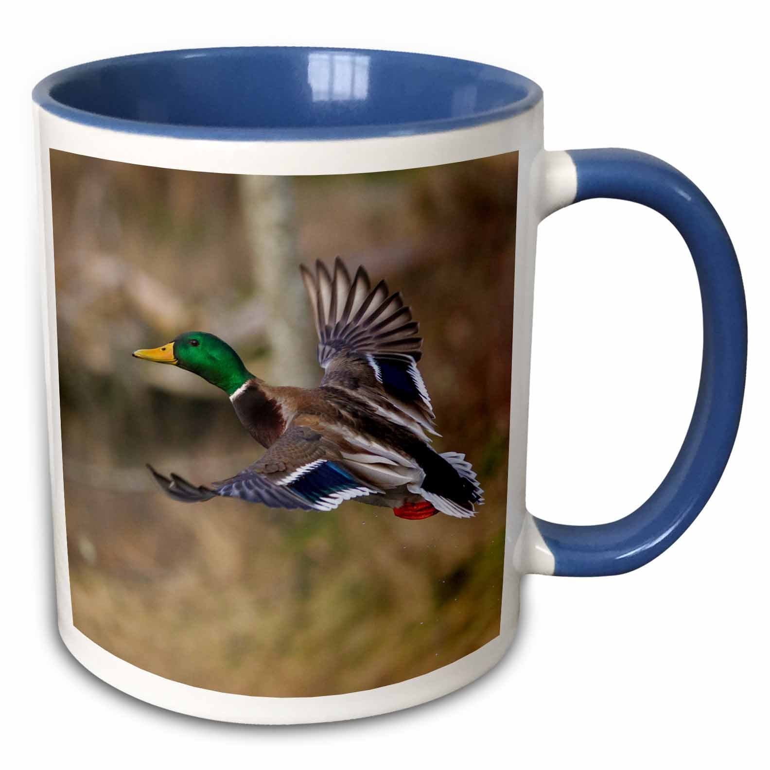 3drose, Mallard Drake Takes Flight., 15oz Two-tone Blue Mug - Walmart.com