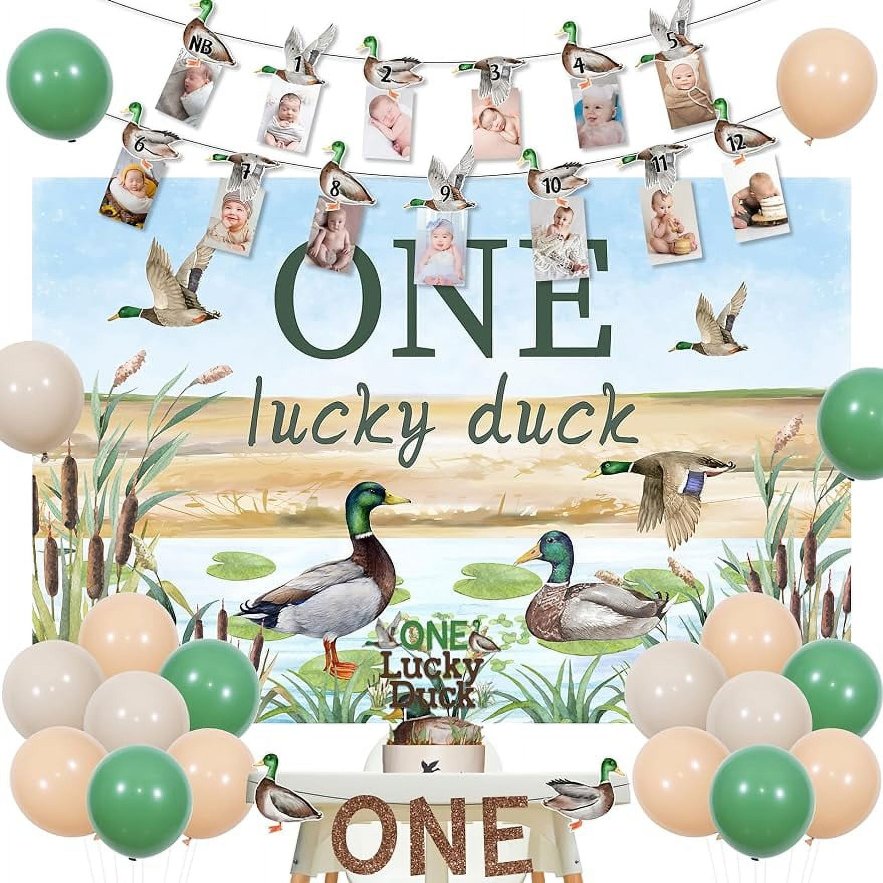 One Lucky Duck 1st Birthday Party Supplies: Mallard Decorations with ...