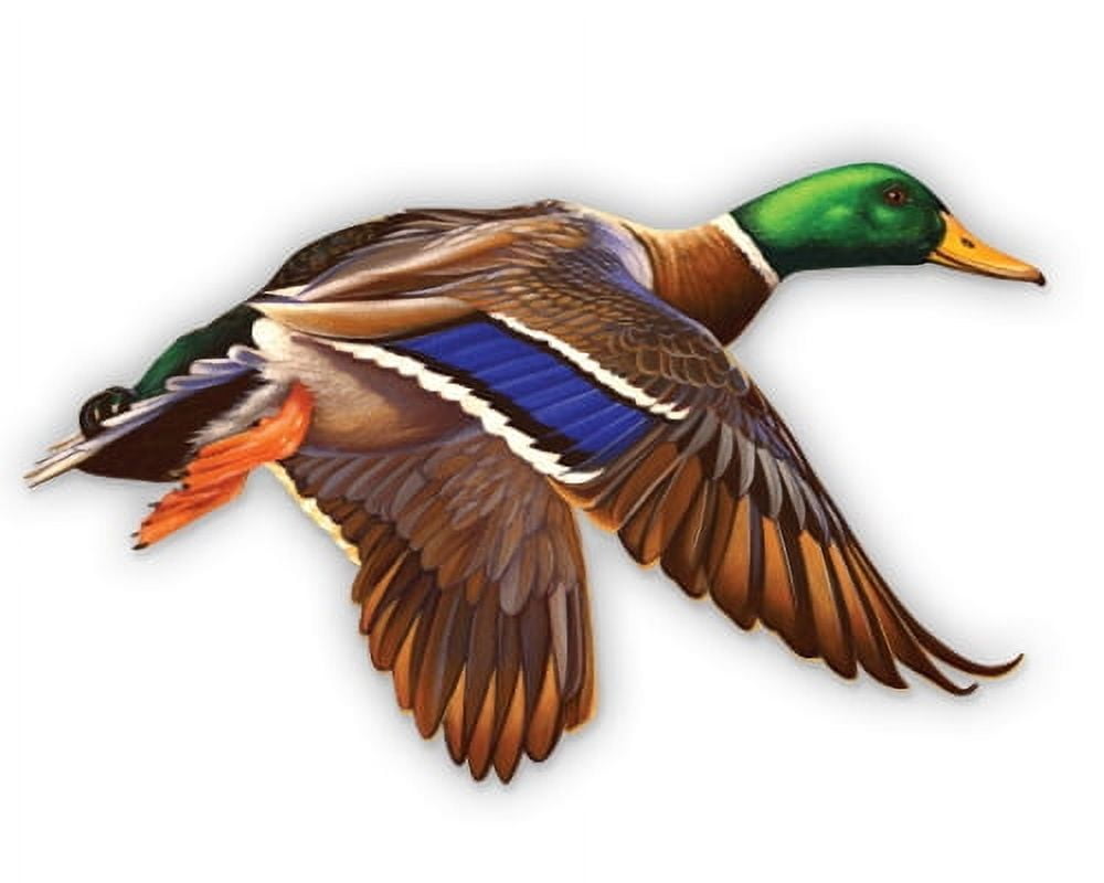 Mallard Duck - 3" Vinyl Sticker - For Car Laptop I-Pad Phone Helmet ...