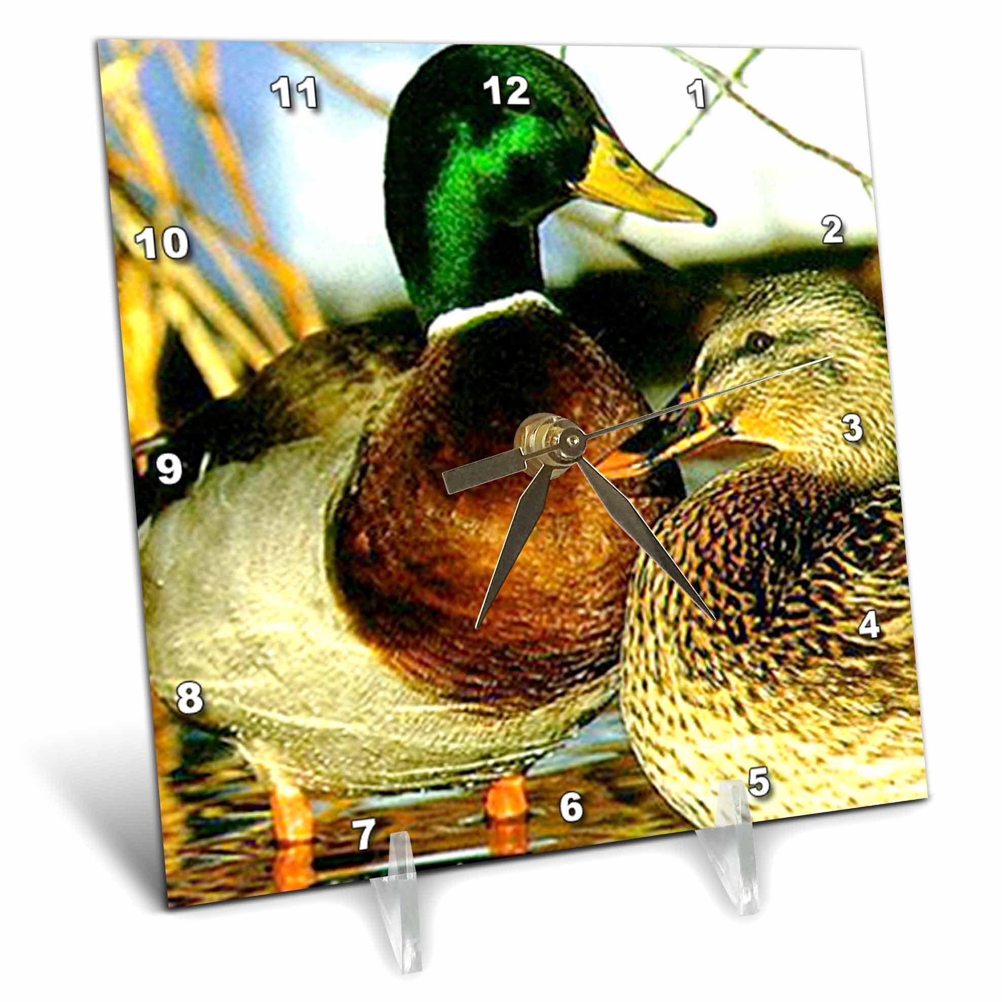 3dRose, Mallard Duck, 6x6 Desk Clock - Walmart.com