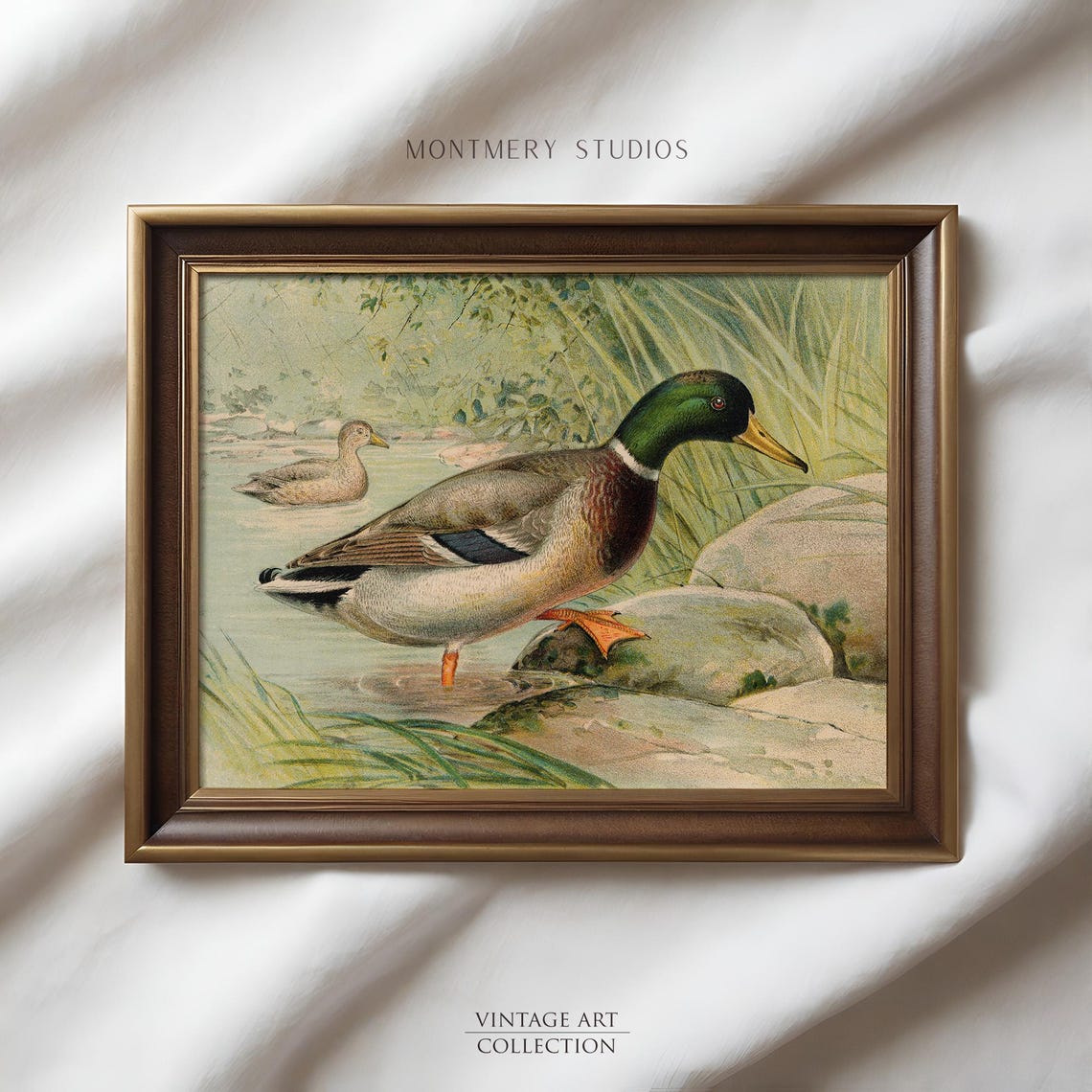 Mallard Duck Print Poster, Vintage Nursery Art, Lake House Decor, Duck ...