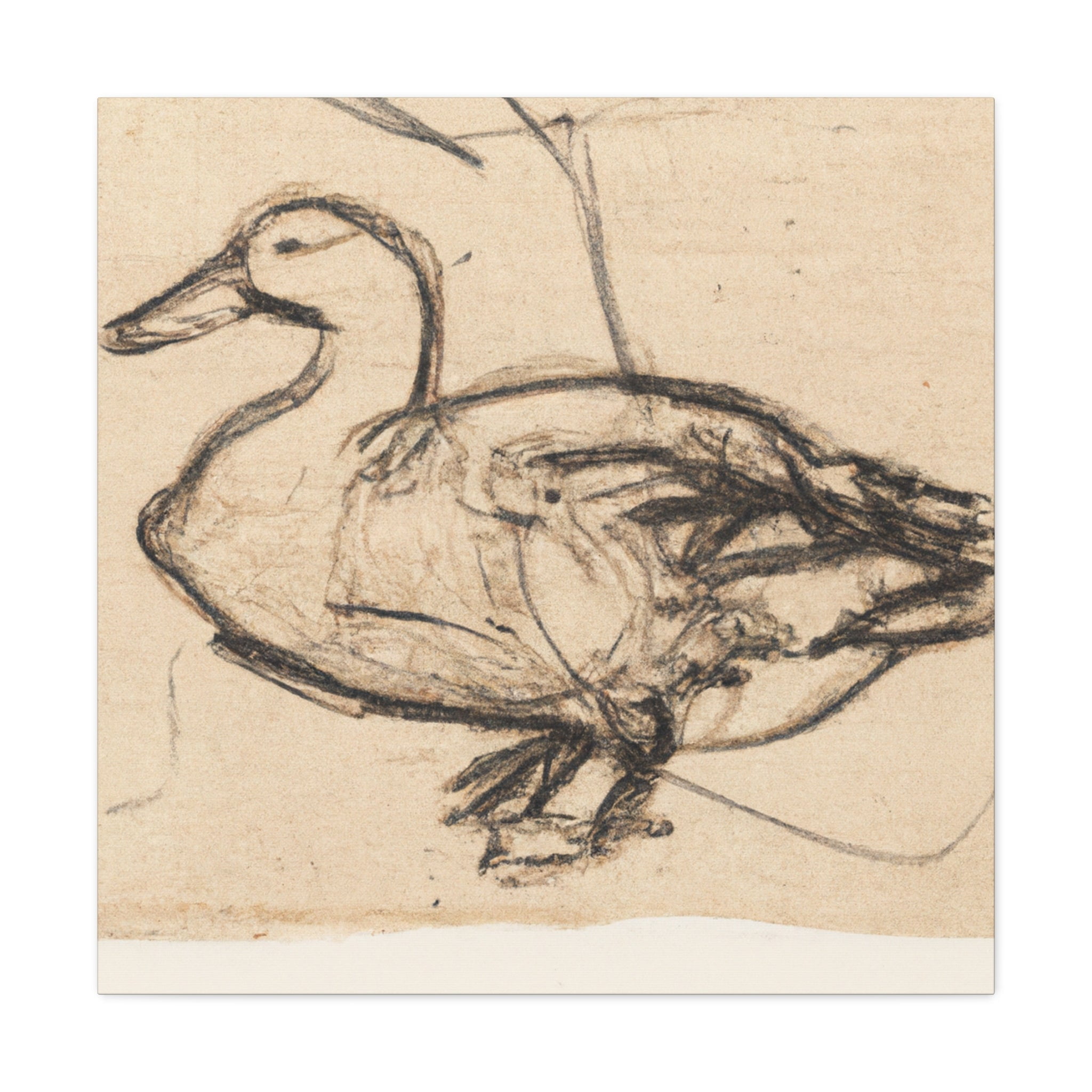 Mallard Duck Reverie - Canvas - Walmart.com