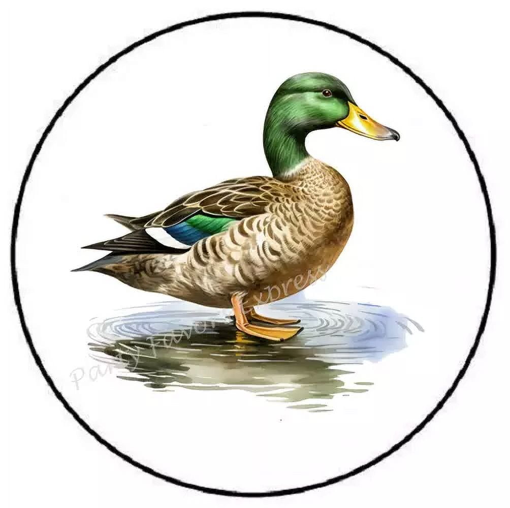 Mallard Duck Sticker Party Favors Sticker Envelope Seals Labels ...