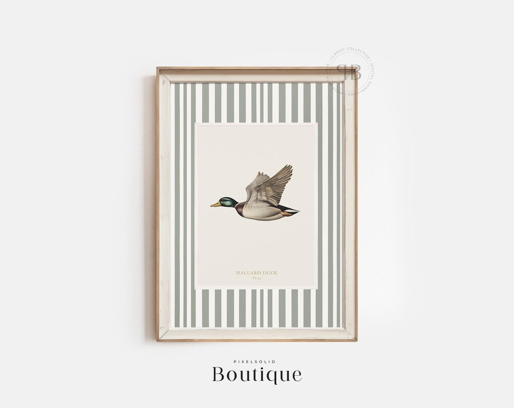 Mallard Duck Vintage Style Illustration, Antique Bird Print, Naturalist ...