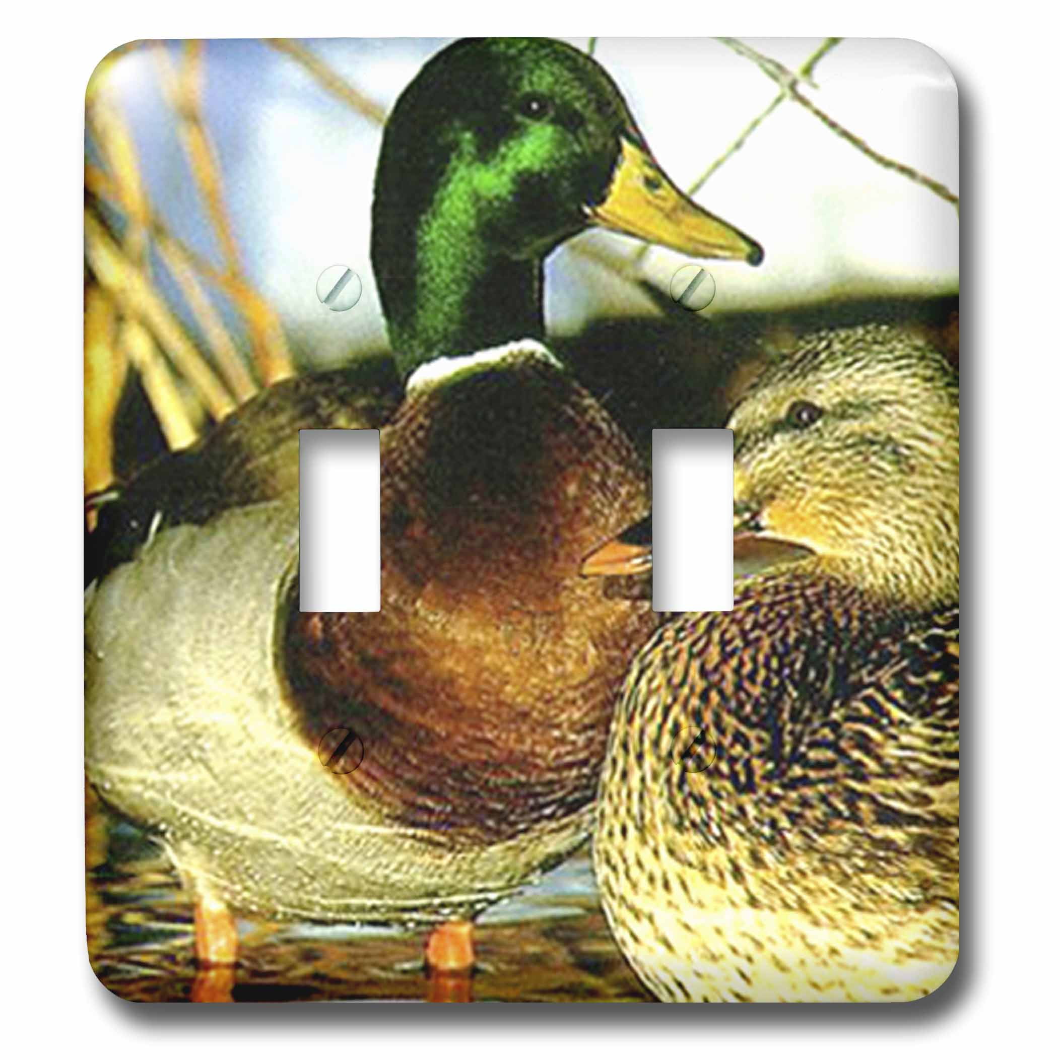3dRose, Mallard Duck, double toggle switch - Walmart.com