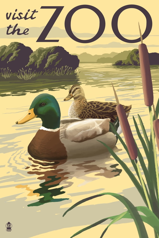 Mallard Ducks, Visit the Zoo (12x18 Wall Art Poster, Room Decor ...