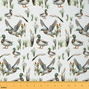 Buck Fabric