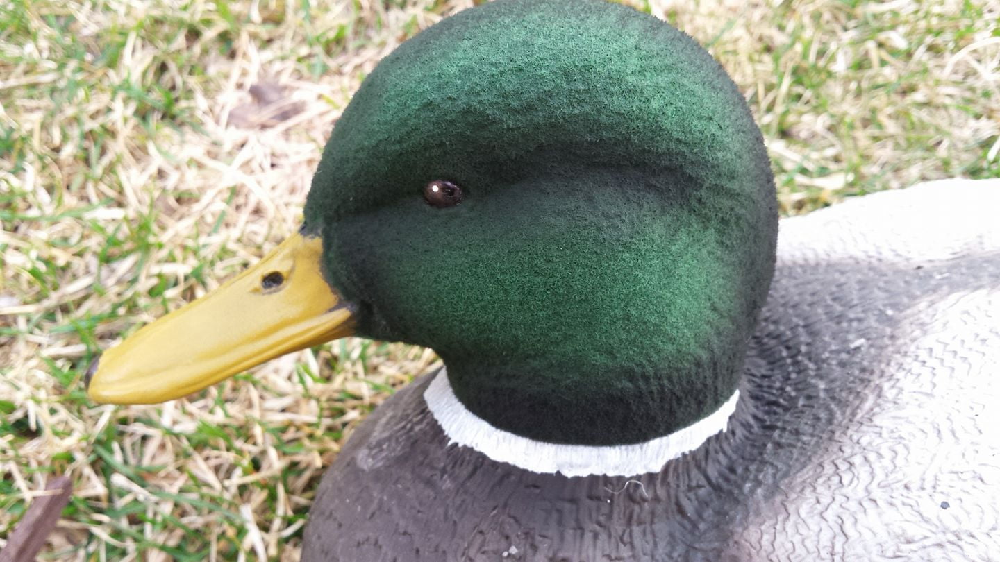 Mallard Head Decoy Flocking Kit - Walmart.com