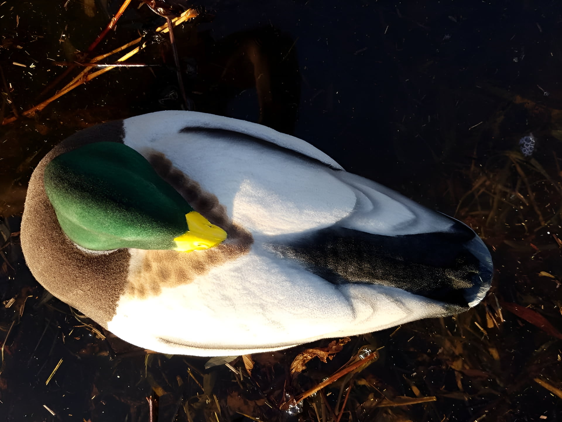 Mallard Supreme Decoy Flocking Kit - Walmart.com