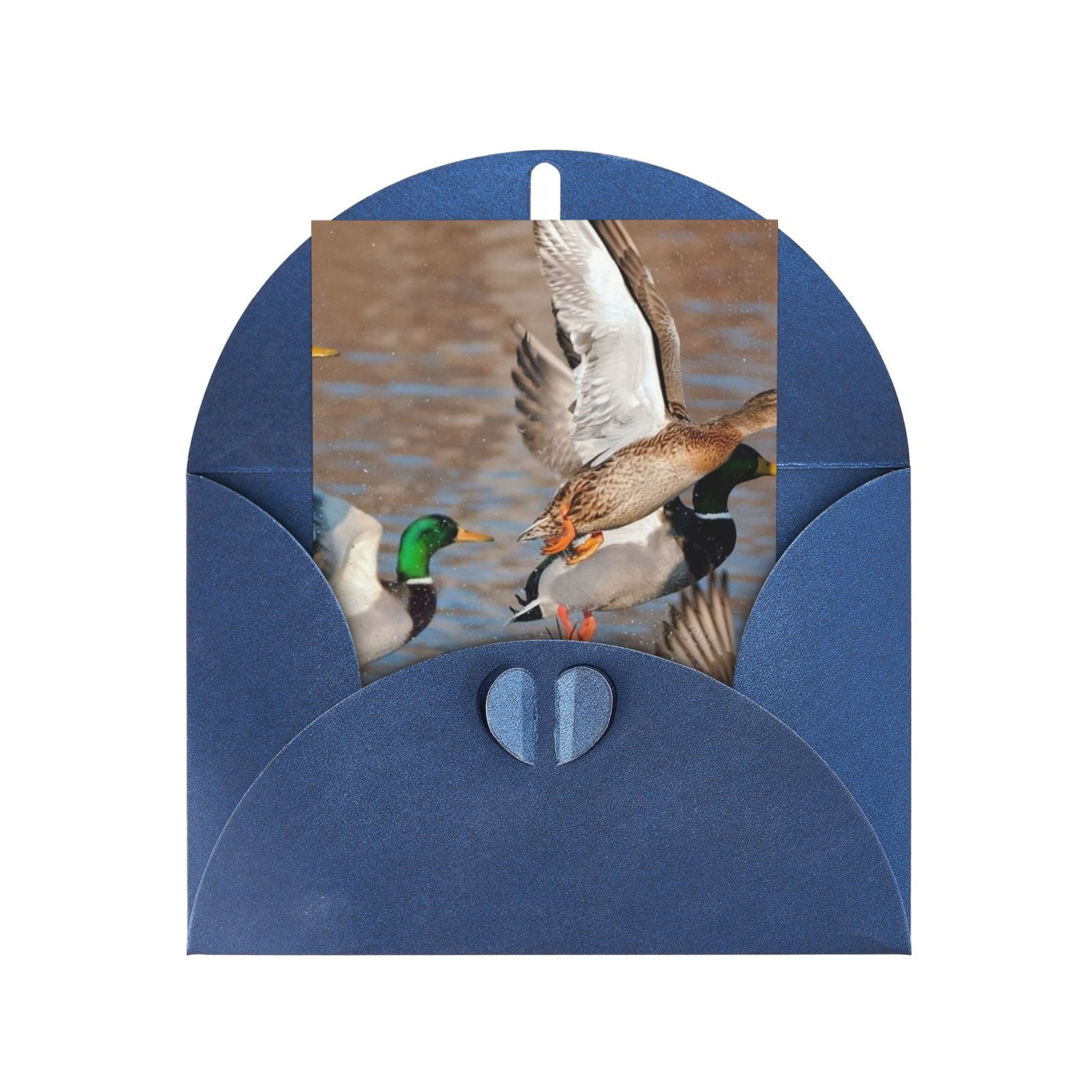 Mallards Duck Hunting Mallard Ducks Birthday Cards Blank Cards Greeting ...