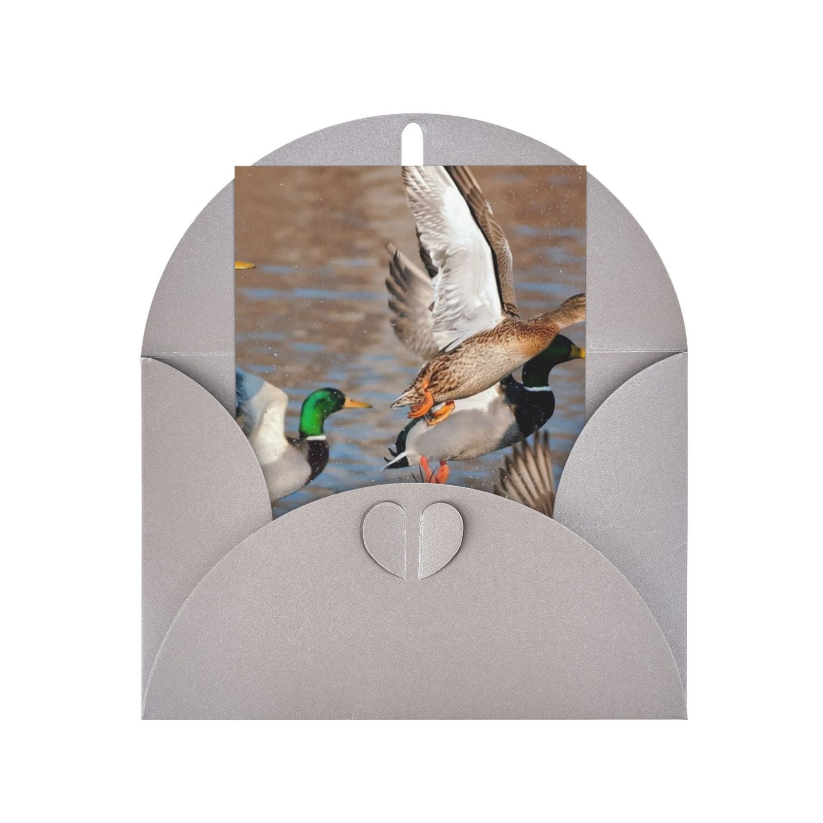 Mallards Duck Hunting Mallard Ducks Birthday Cards Blank Cards Greeting ...