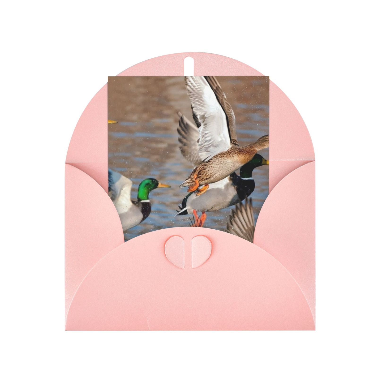 Mallards Duck Hunting Mallard Ducks Birthday Cards Blank Cards Greeting ...