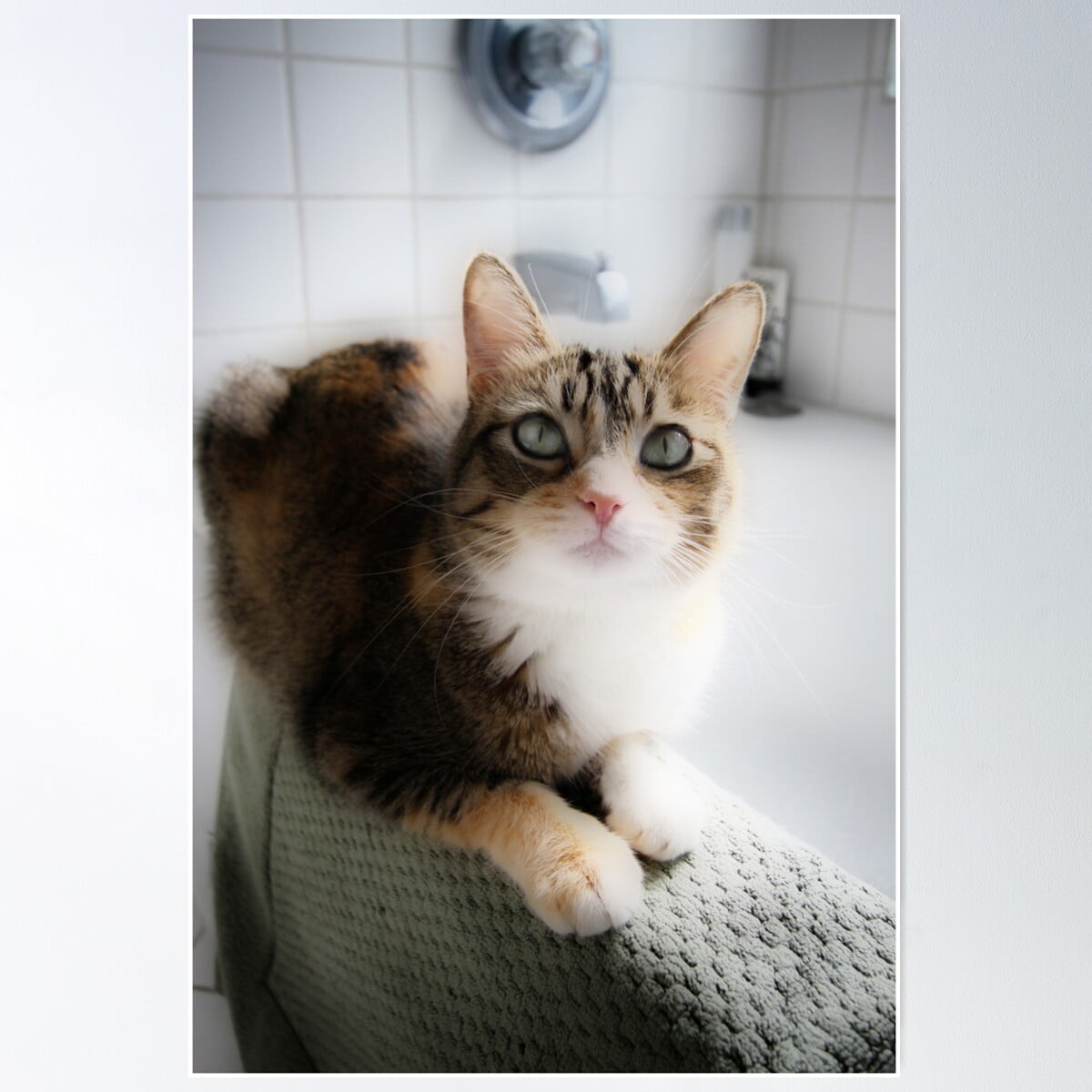 Mallory Poster Wall Art, Modern Wall Decor For Living Room Bedroom ...