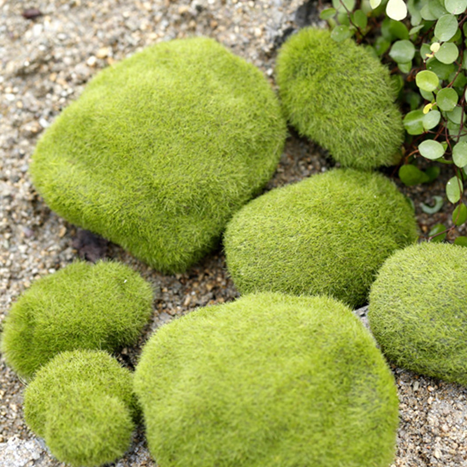 Malltop Shawn Artificial Moss Rocks Decorative Moss Balls Moss Stone ...