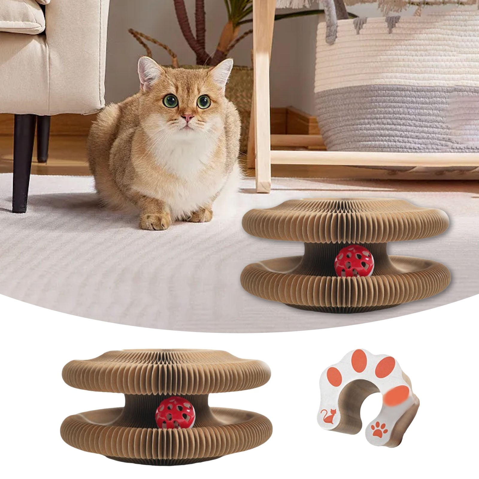 Malltop Shawn Cat Scratcher Board Cat Ball Adventure The Interactive ...