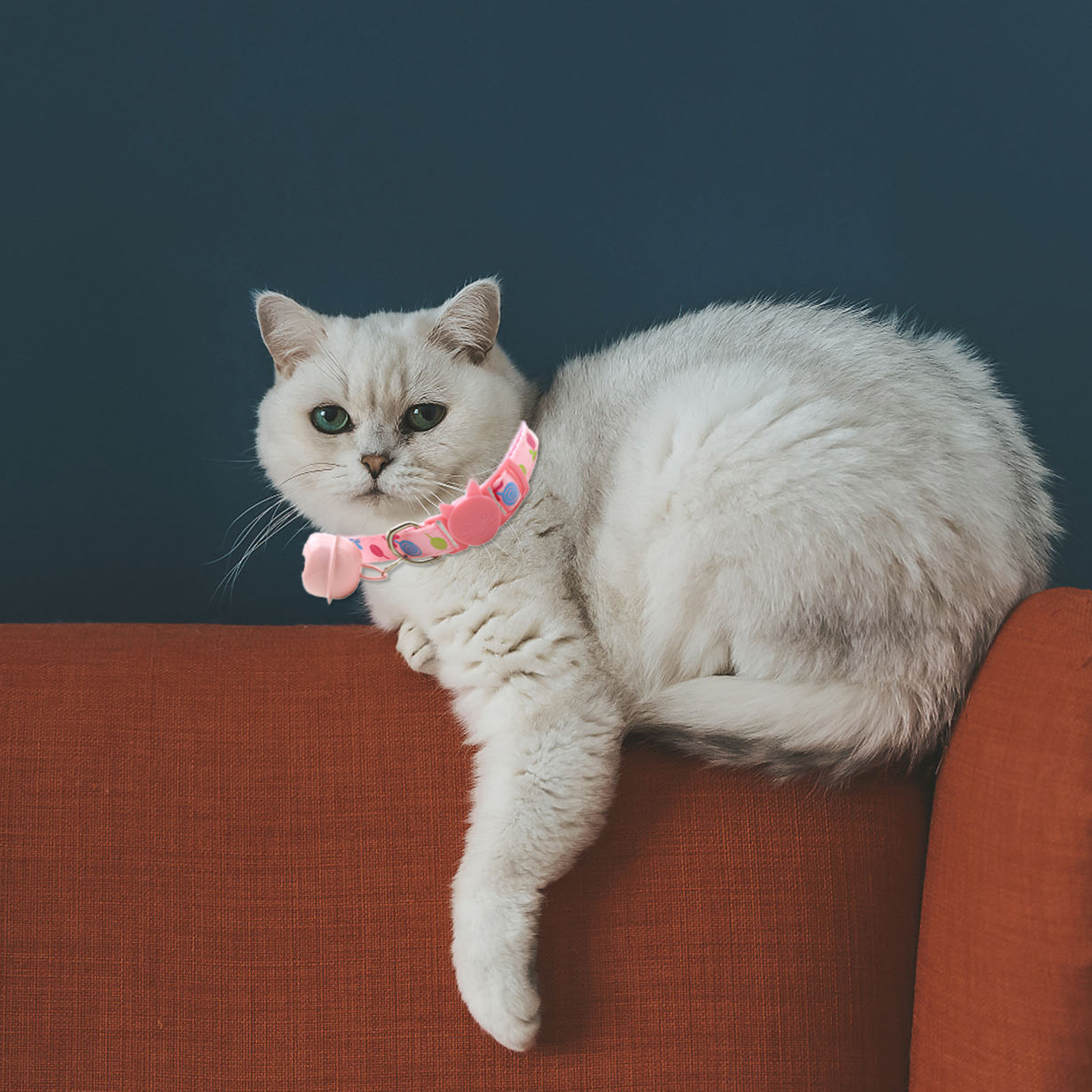 Malltop Shawn Soft Velvet Safe Cat Adjustable Collar with Heart Charm ...