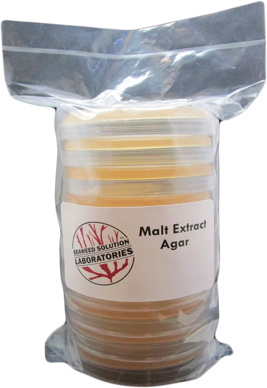 Malt Extract Agar - MEA - 10, 100 Millimeter Plates - Sterile - Walmart.com