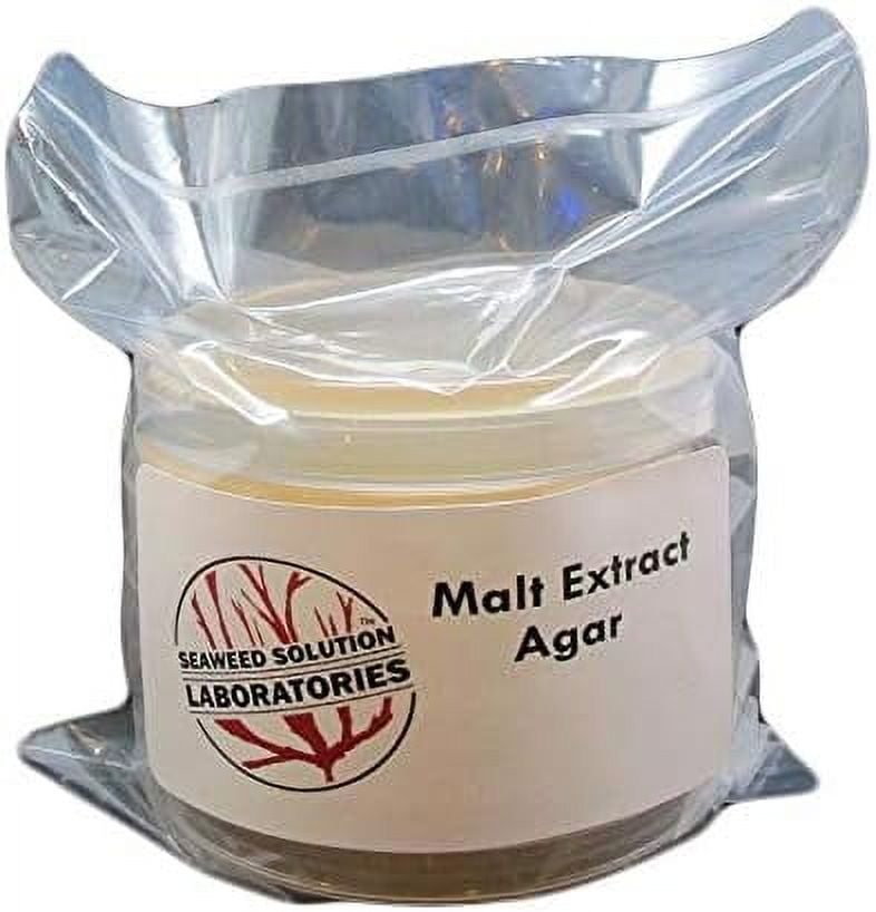 Malt Extract Agar (MEA) 5, 100 Millimeter Plates - Sterile - Walmart.com