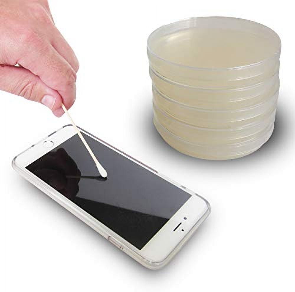 Malt Extract Agar Plates - Evviva Sciences - Great for Mushrooms, Molds ...