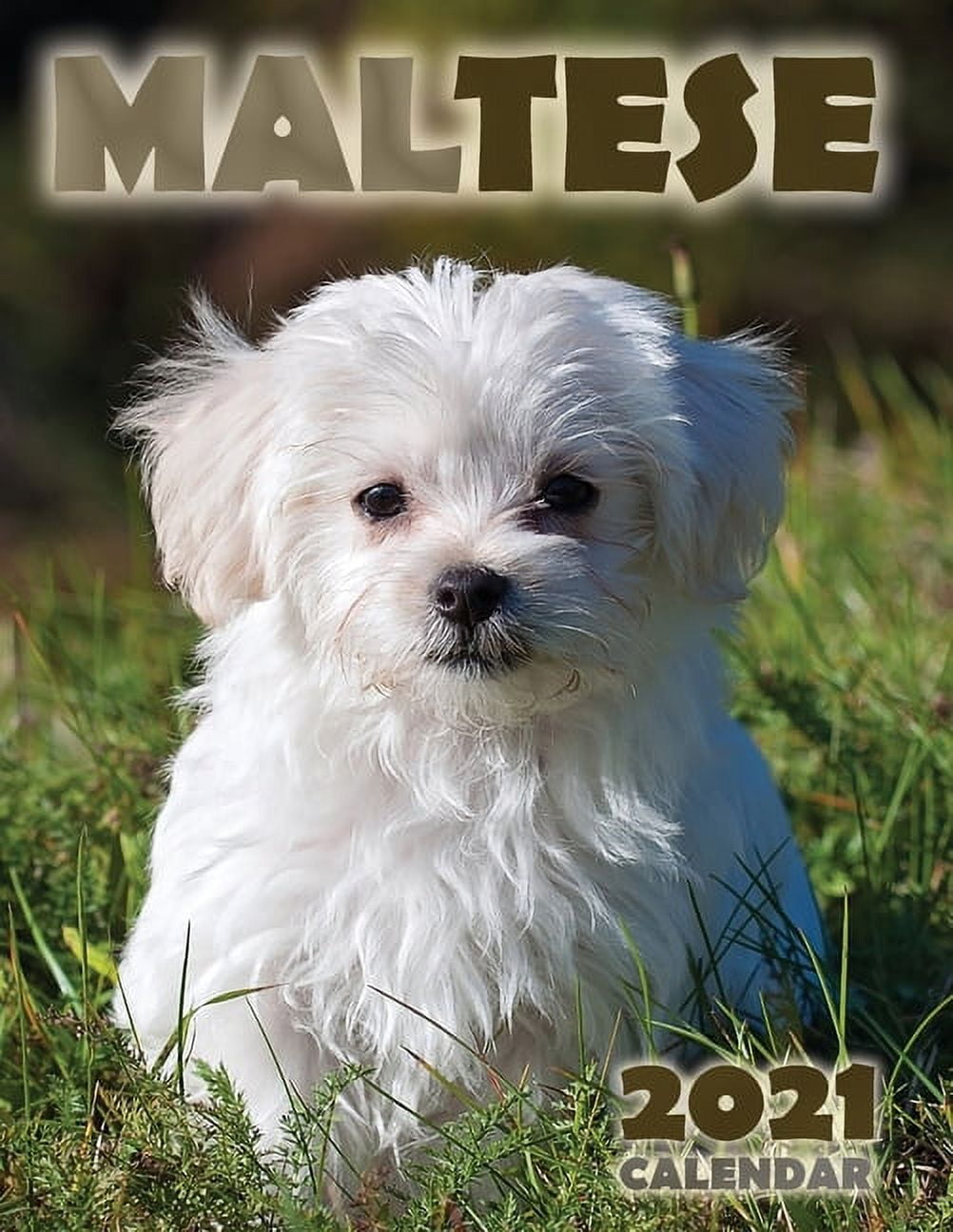 Maltese 2021 Calendar - Walmart.com