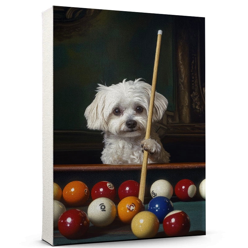 Maltese Dog Playing Billiards Canvas Canvas – Vintage Style Maltese Dog ...