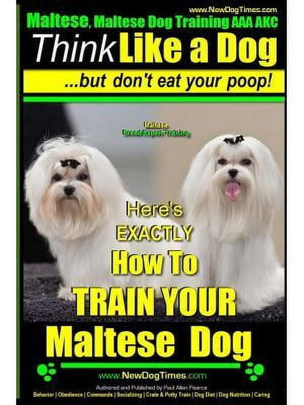 Maltese, Maltese Dog Training AAA AKC : Think Like a Dog But Don'T Eat ...