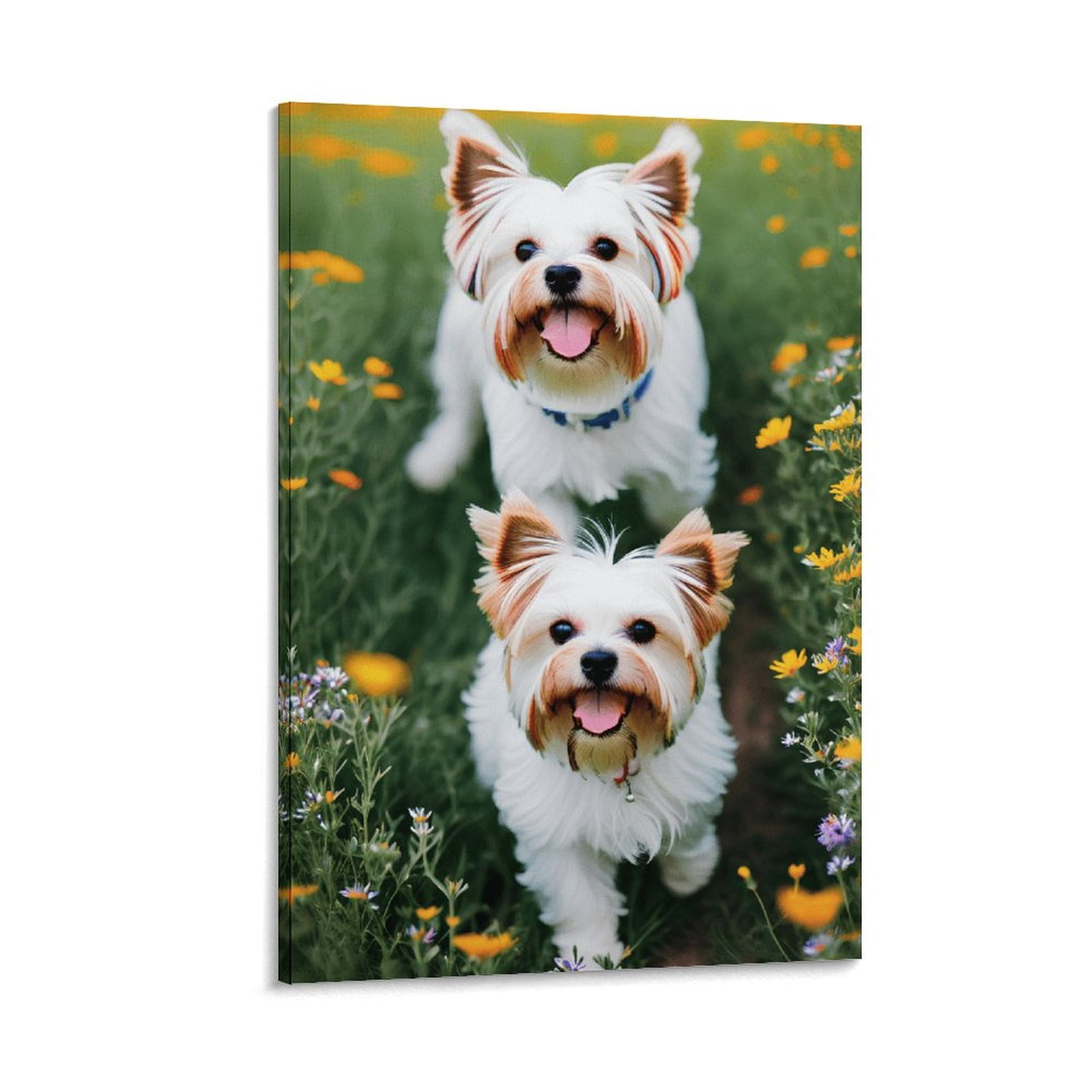 Maltese Puppy Cute Doggy Canvas Art Poster and Wall Art Picture Print ...