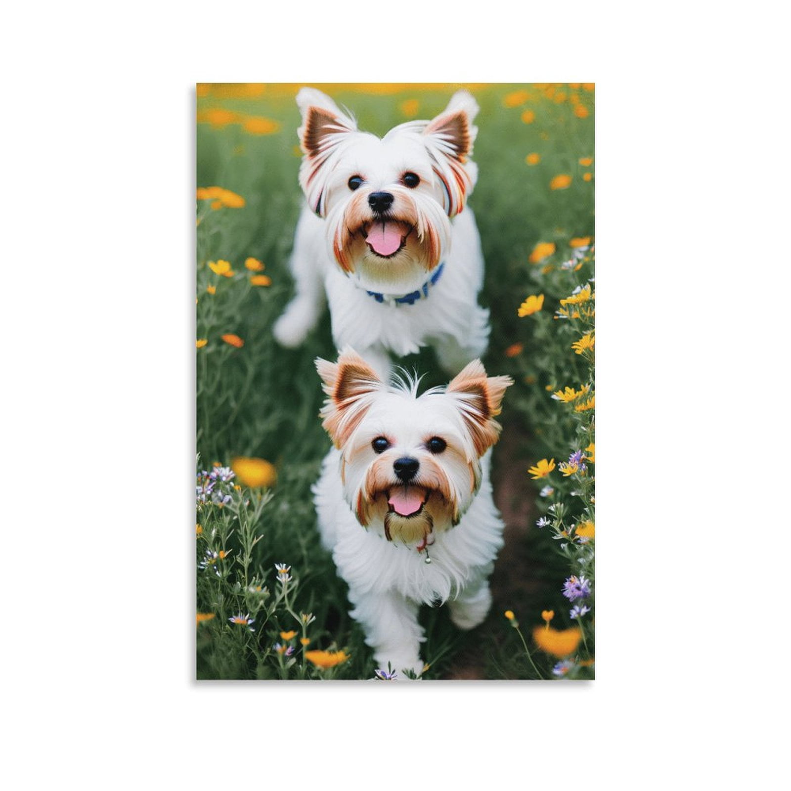 Maltese Puppy Cute Doggy Poster Cool Artworks Painting Wall Art Canvas ...