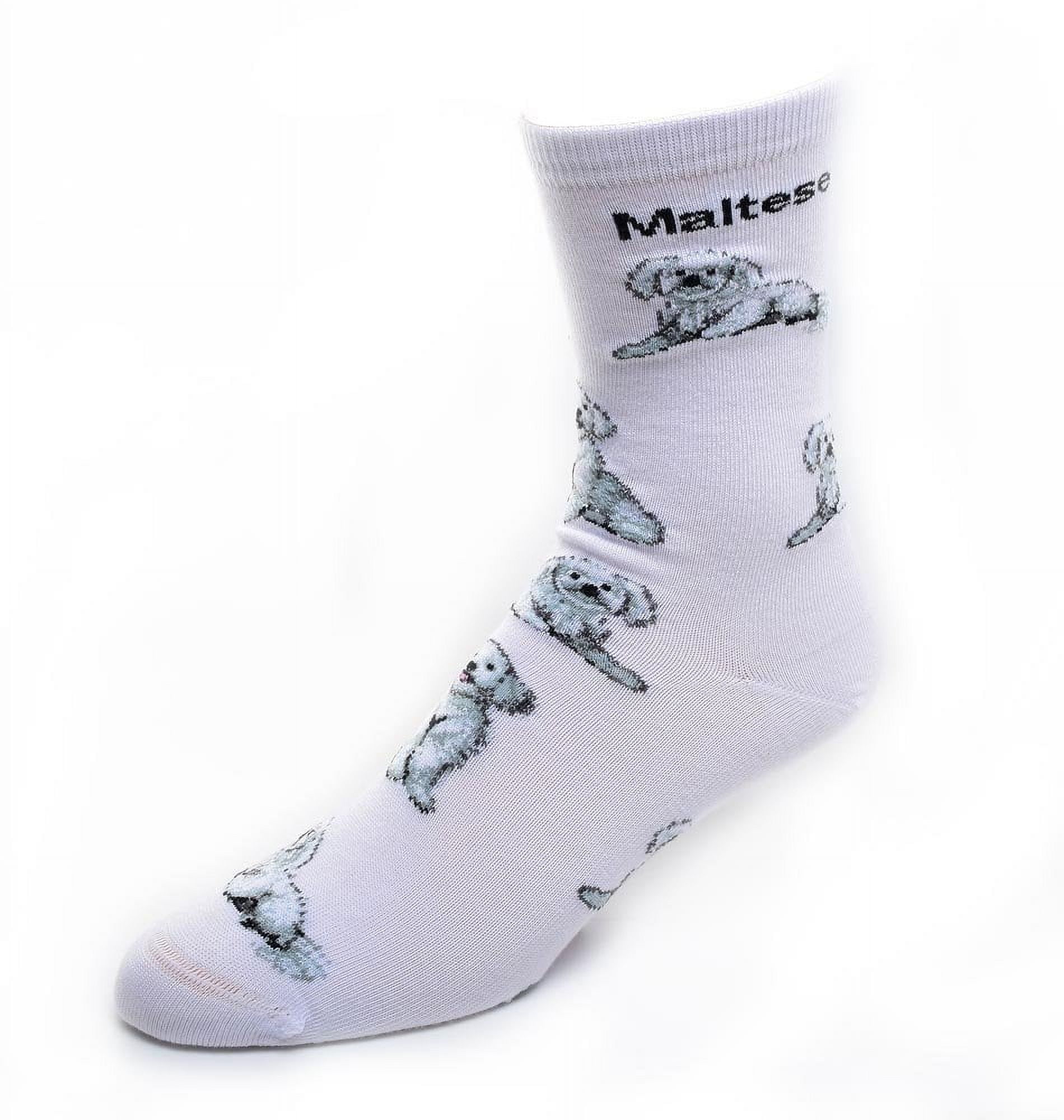 Maltese Socks Poses 2 - Walmart.com