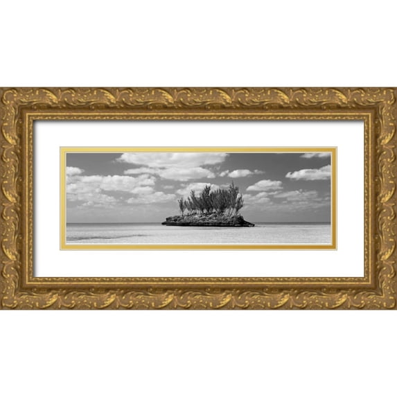 Malvin, Larry 14x7 Gold Ornate Wood Framed with Double Matting Museum ...