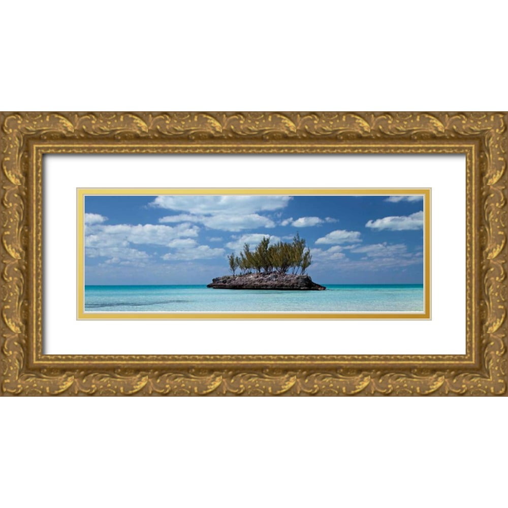Malvin, Larry 14x7 Gold Ornate Wood Framed with Double Matting Museum ...