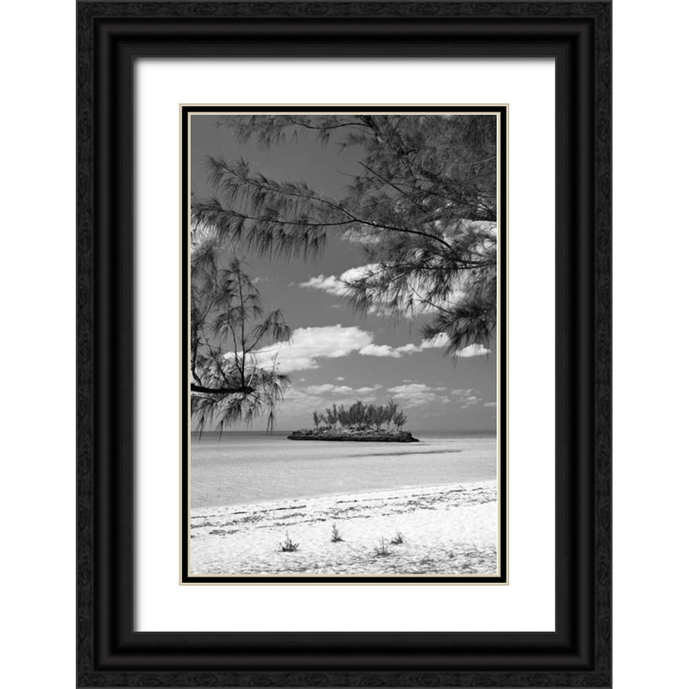 Malvin, Larry 17x24 Black Ornate Wood Framed with Double Matting Museum ...