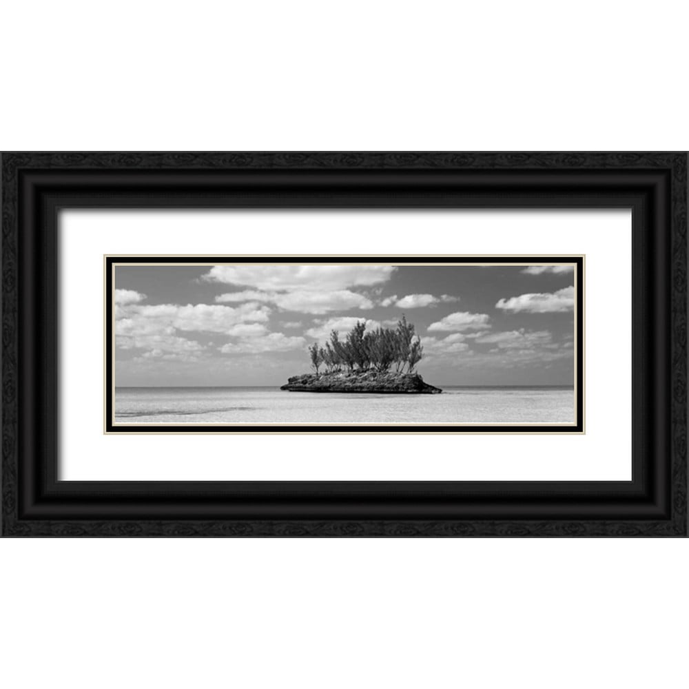 Malvin, Larry 18x9 Black Ornate Wood Framed with Double Matting Museum ...