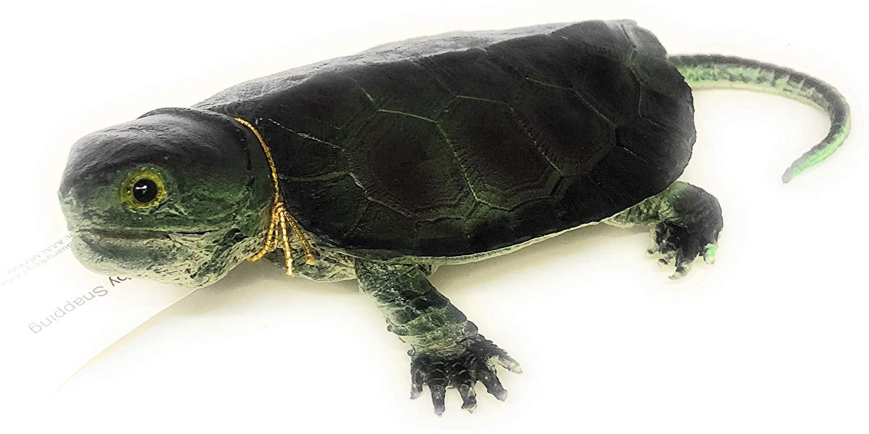 Snapping Turtle Toy