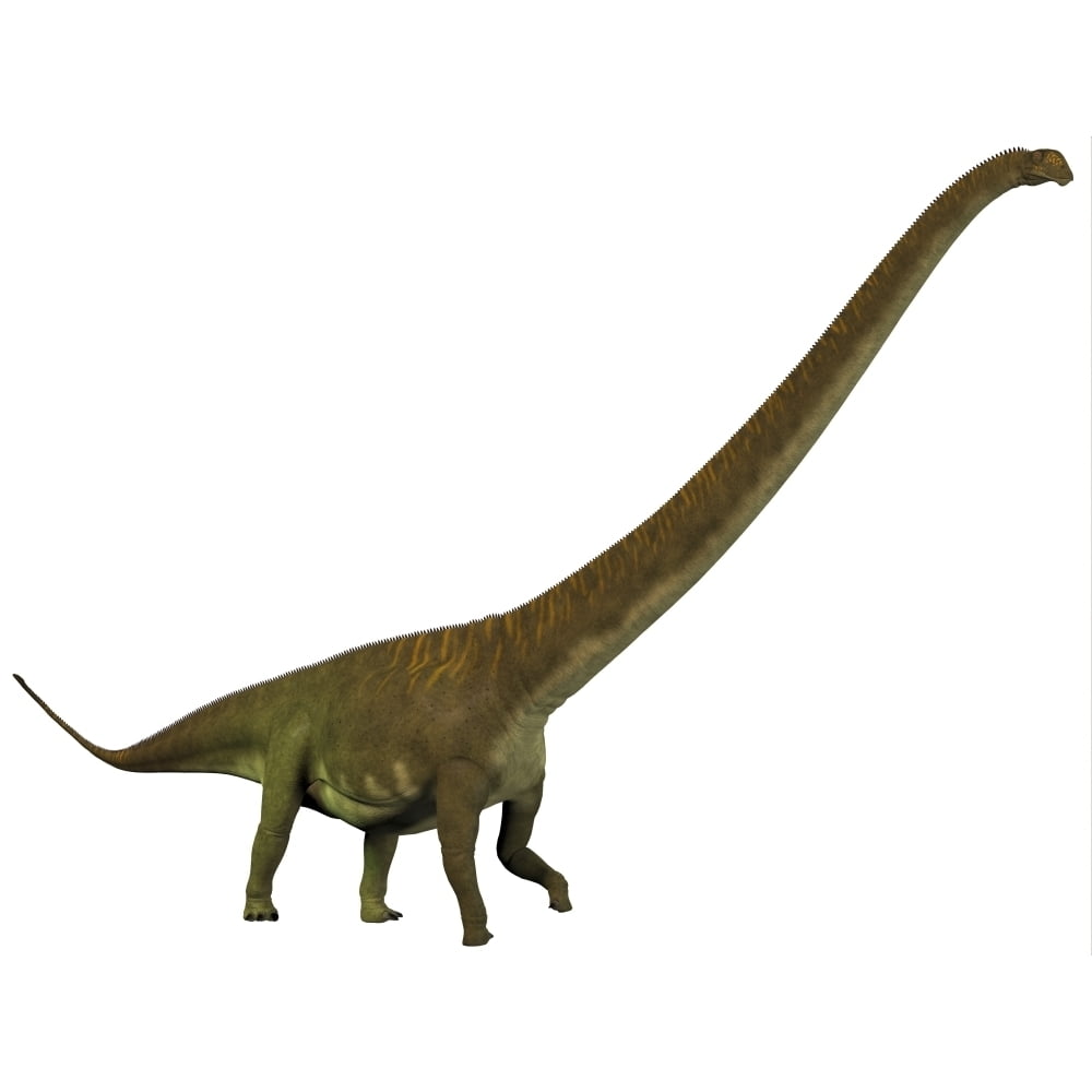 Mamenchisaurus a plant-eating sauropod dinosaur Poster Print - Walmart.com