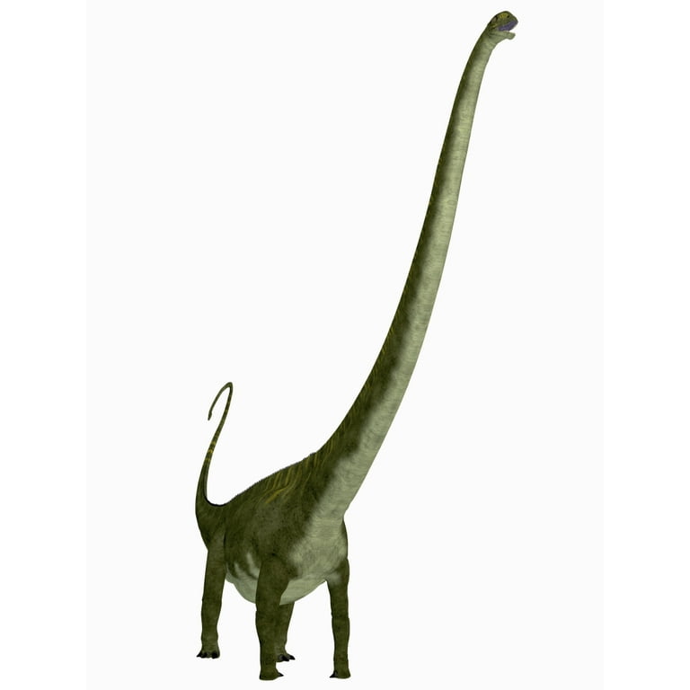 Mamenchisaurus