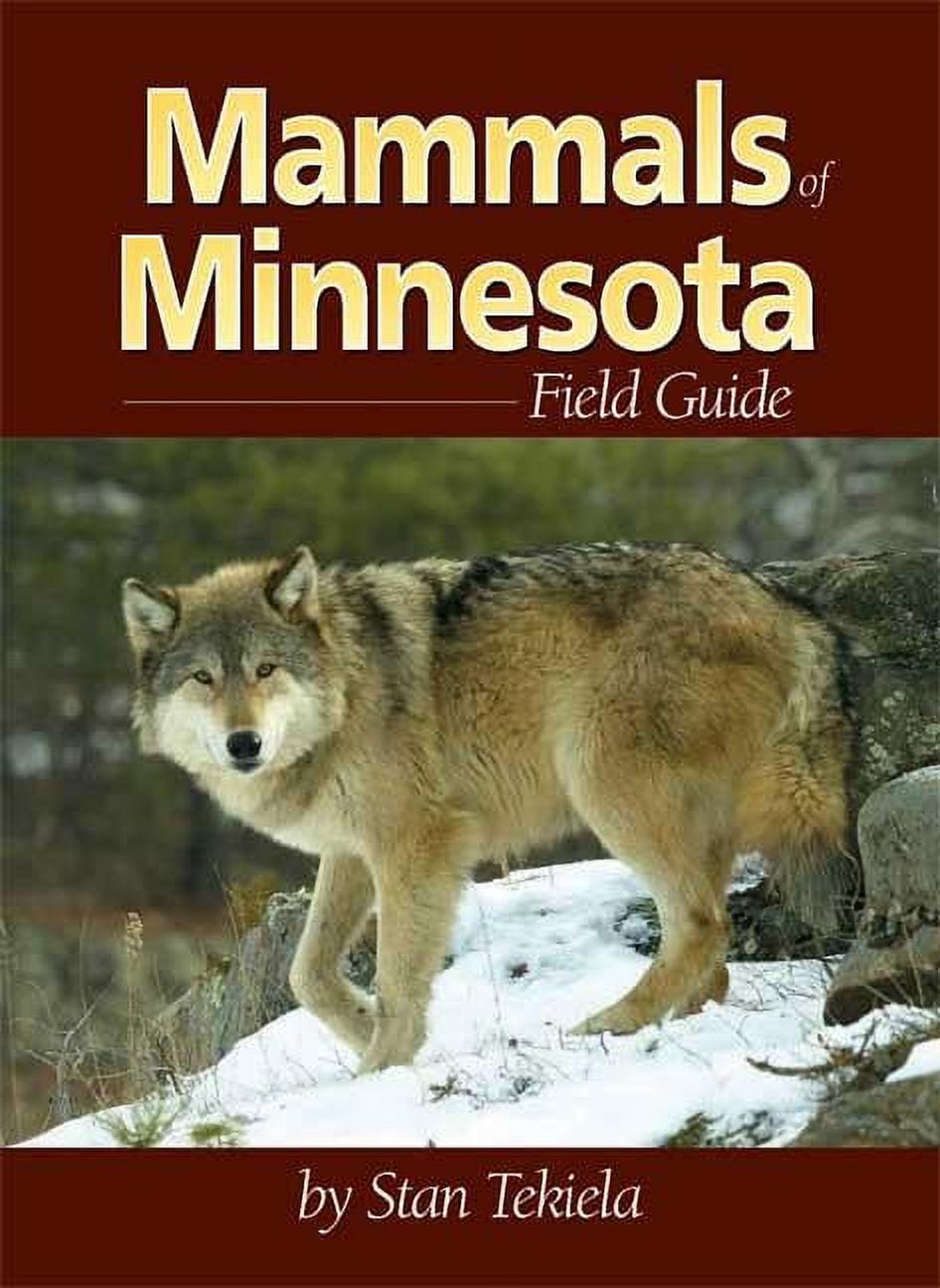 Mammal Identification Guides Mammals of Minnesota Field Guide ...