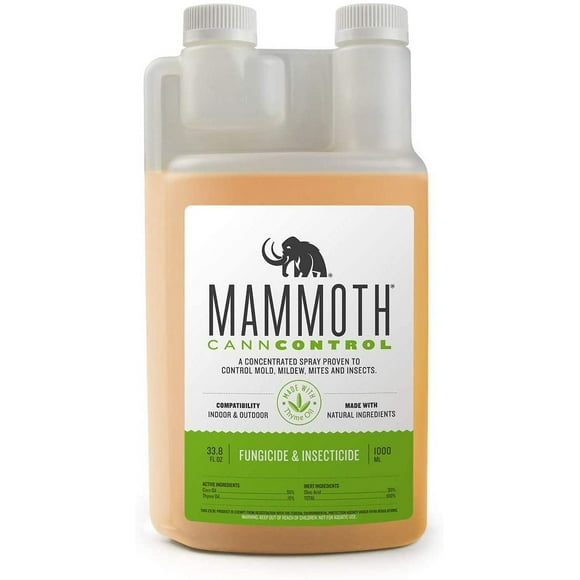 Insecticide For Spider Mites