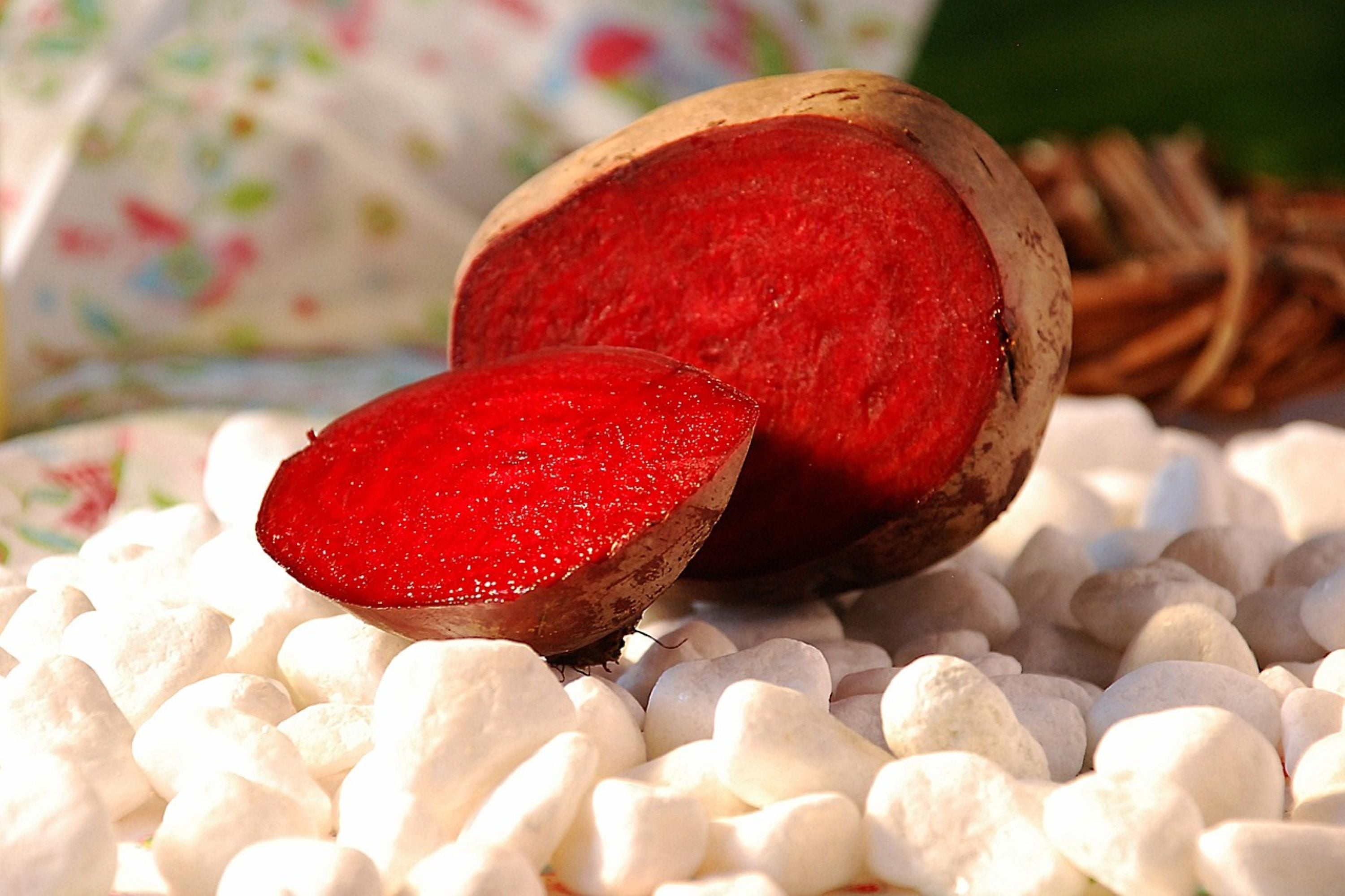 Mammoth Red Mangel Beet Seeds/ Biennial/ Full Sun/160 Seeds 2 Grams ...