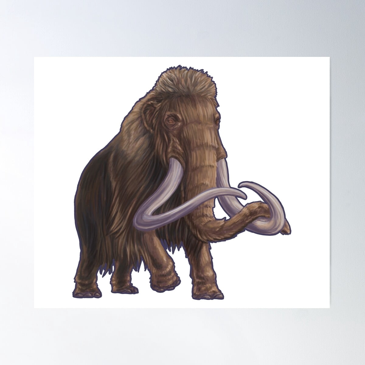Mammuthus Primigenius (Woolly Mammoth) Poster Wall Art, Modern Wall ...