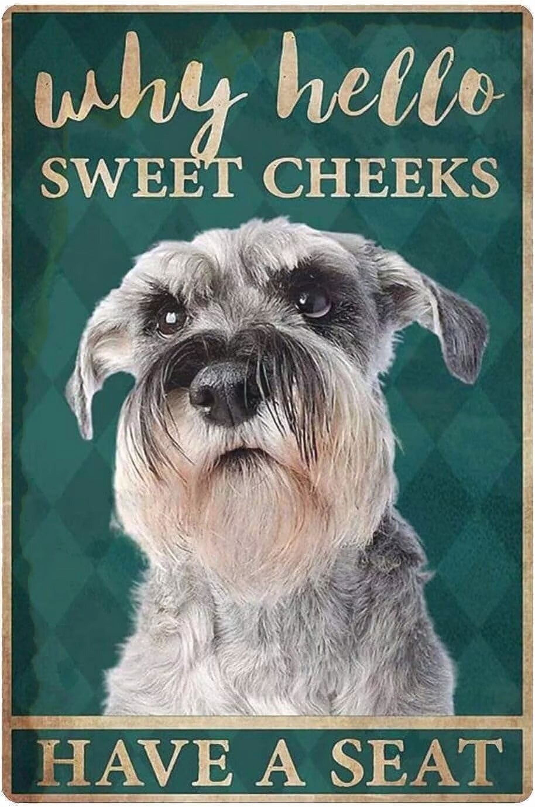 Man Cave Decor Dog Retro Vintage Metal Tin Sign Why Hello Sweet Cheeks ...