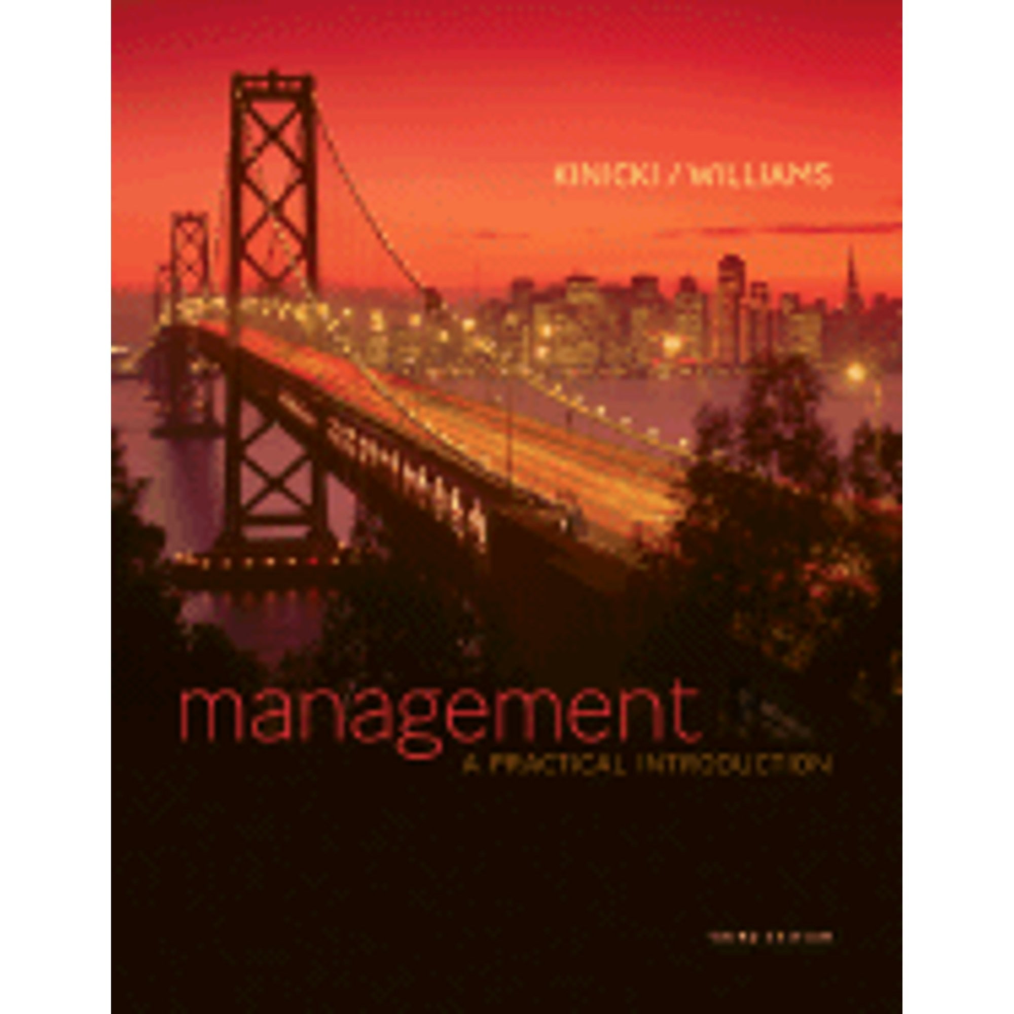 Management : A Practical Introduction - Walmart.com