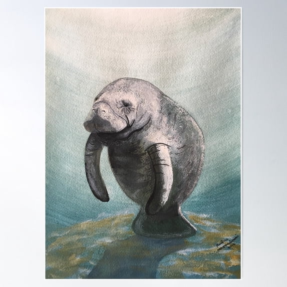 Manatee Poster Wall Art, Modern Wall Decor For Living Room Bedroom ...
