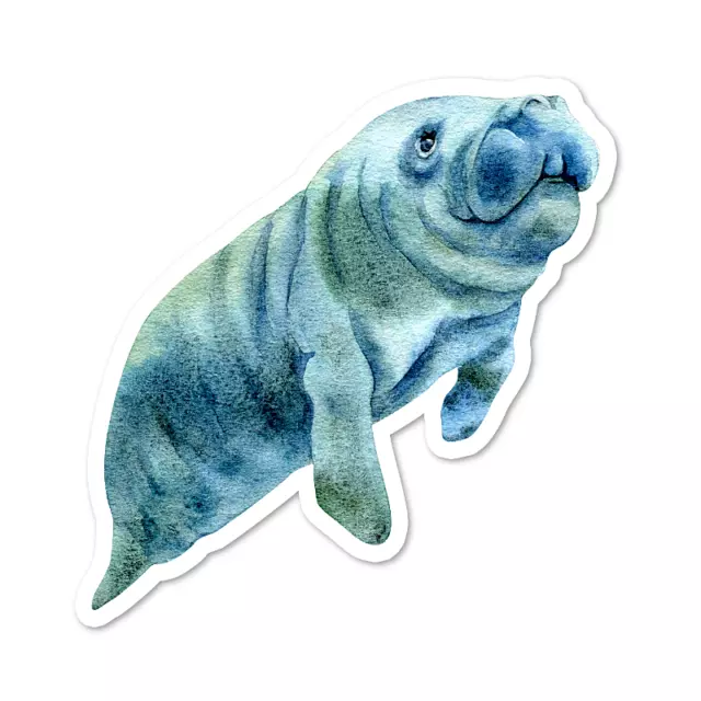 Manatee, Sea Cow, Sealife Sticker, Water Resistant, Indoor Use,Phone ...
