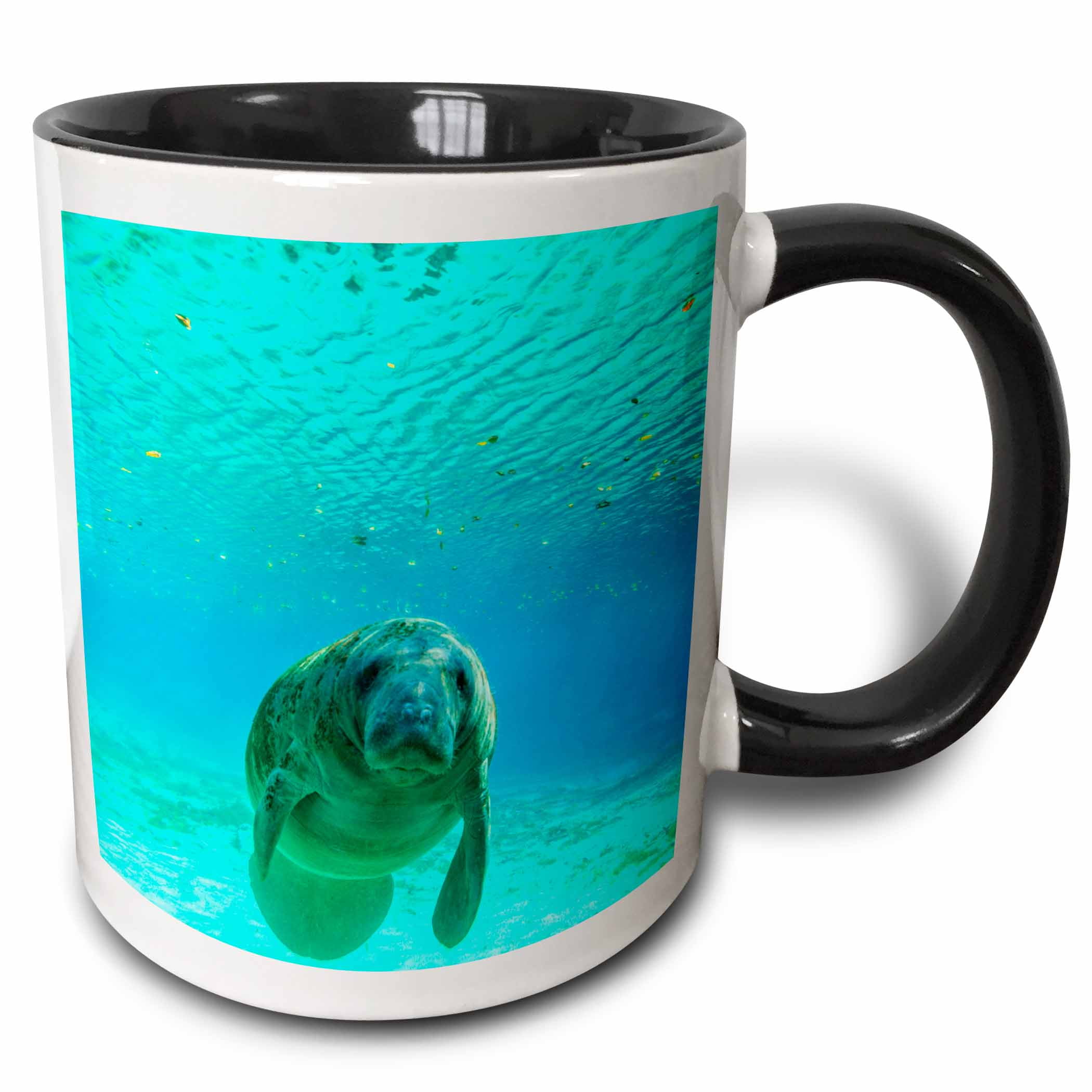 3drose, Manatee Swimming, Crystal River, Florida, 15oz Two-tone Black ...