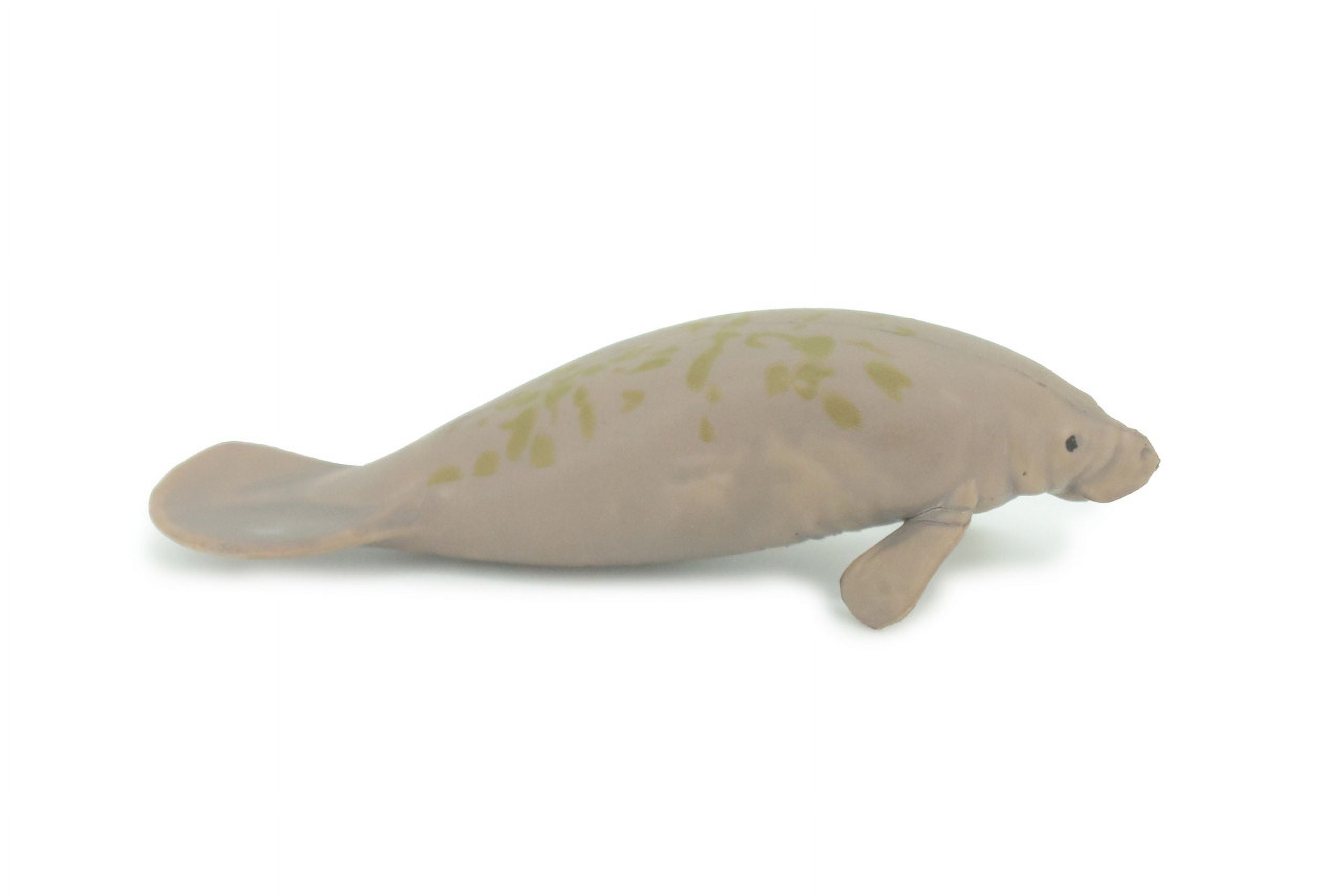 Manatee, Trichechus, Sea cow, Hand Painted, Educational, Rubber Animal ...