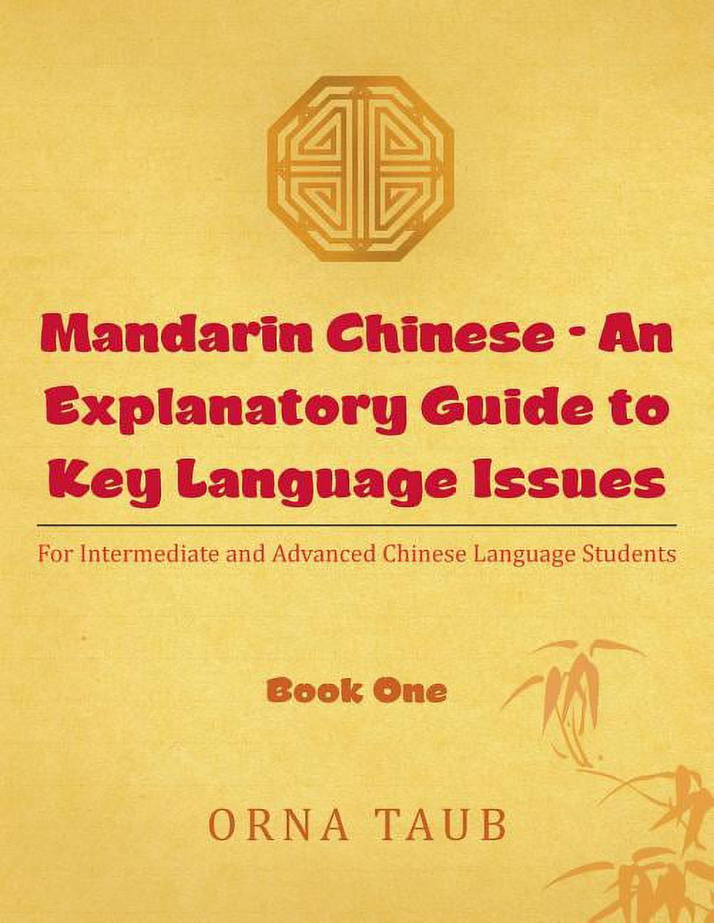 Mandarin Chinese - An Explanatory Guide to Key Language Issues: For ...