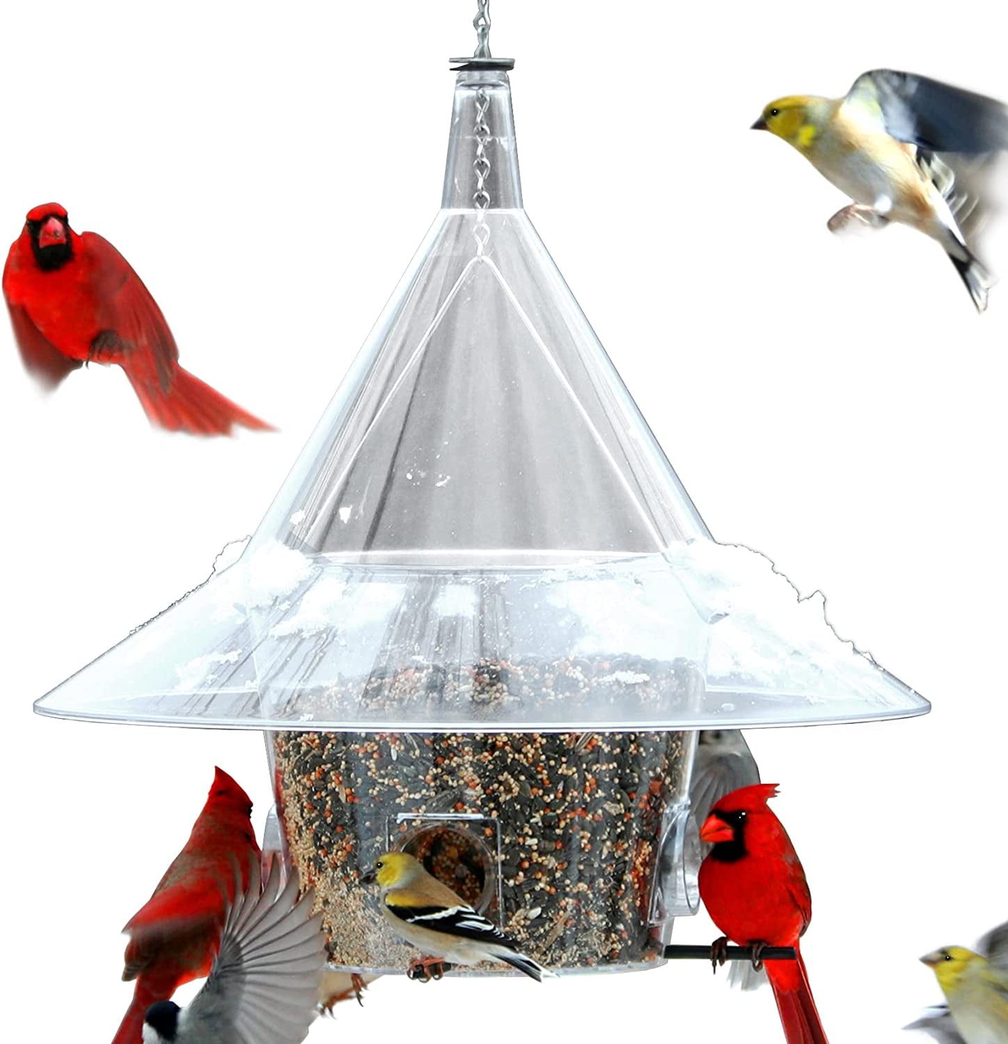 Mandarin Feeder with Perches, Large Squirrel Proof Feeder, 17" Diameter Clear Dome, by Arundale ...