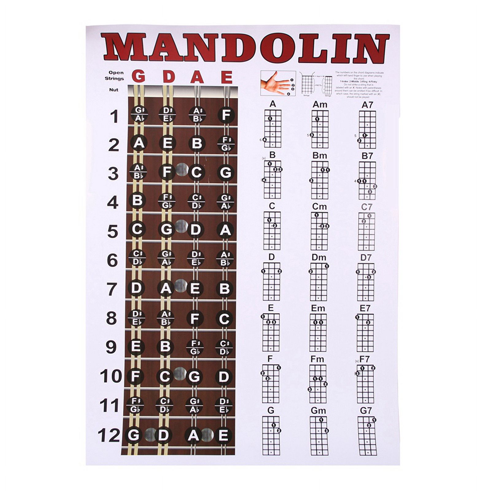 Mandolin Poster Chart Chord Musical Trainning Instrument Guide Chords ...